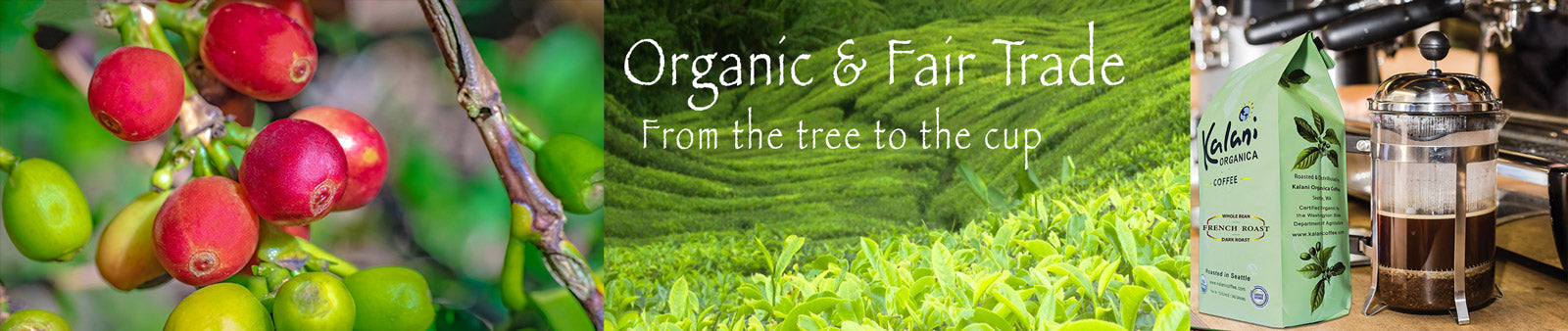 Whole Bean & Ground Coffee – Kalani Organica Coffees & Teas